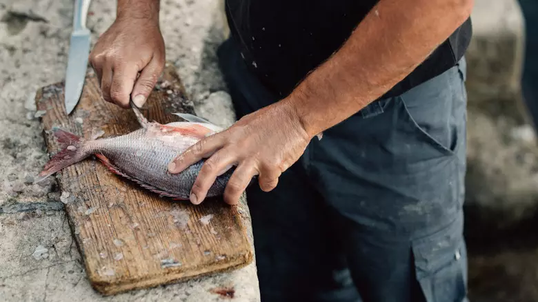 Pescador cortando peixe na tábua de madeira