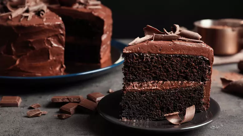 एका प्लेटवर चॉकलेट केकचा तुकडा