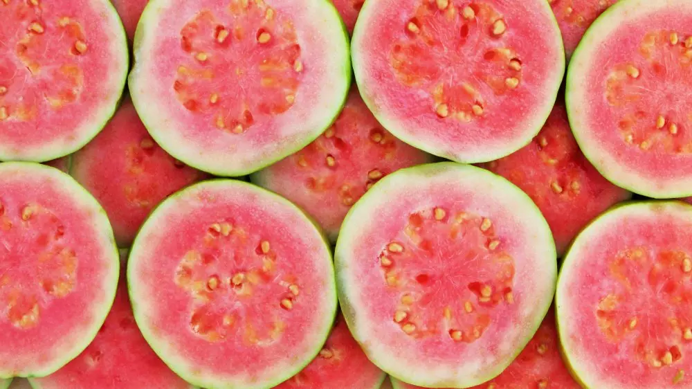 Guava frukt skärs i skivor