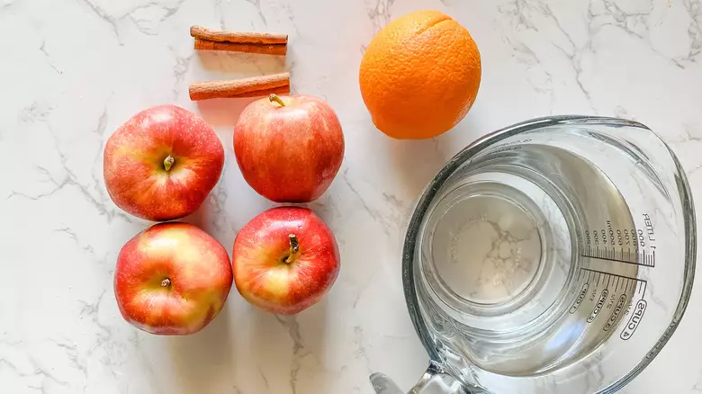 ingredients de sidra de poma condimentada