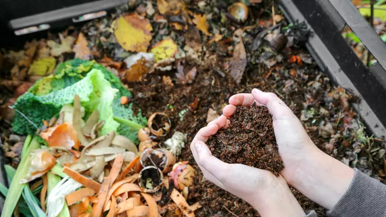 compost bin