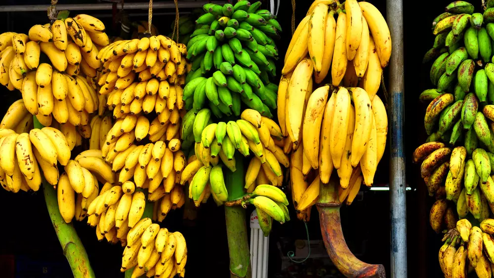 Banane asortate agățate în India