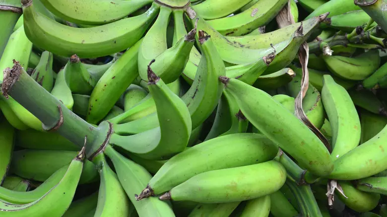 Bunter af grøn plantain