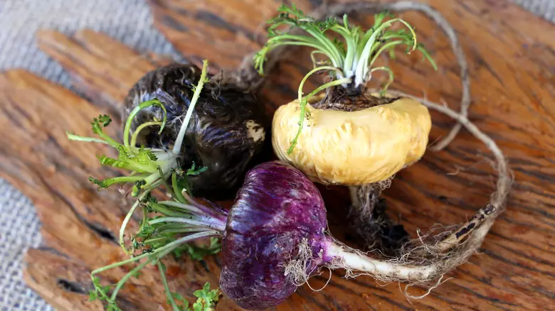 Raíces de maca frescas