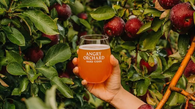 Cider Angry Orchard