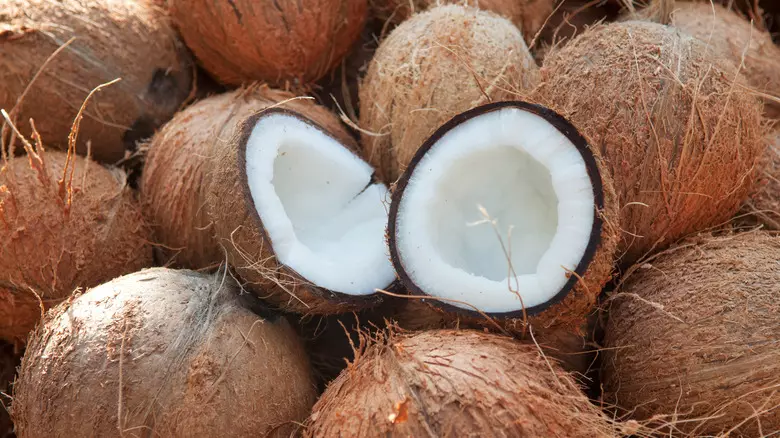 Buka kelapa di atas timbunan kelapa