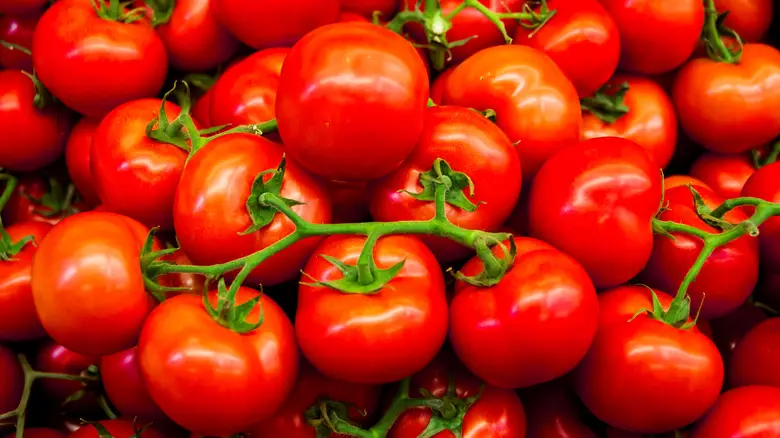 Otu ụyọkọ tomato