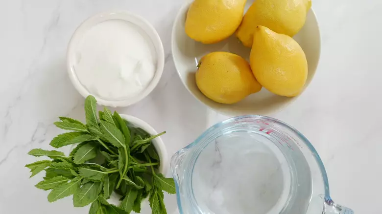 Viungo vya Barafu ya Kiitaliano ya Lemon ya Homemade