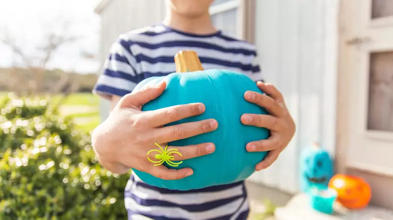 Bambino che tiene la zucca dell'alzavola