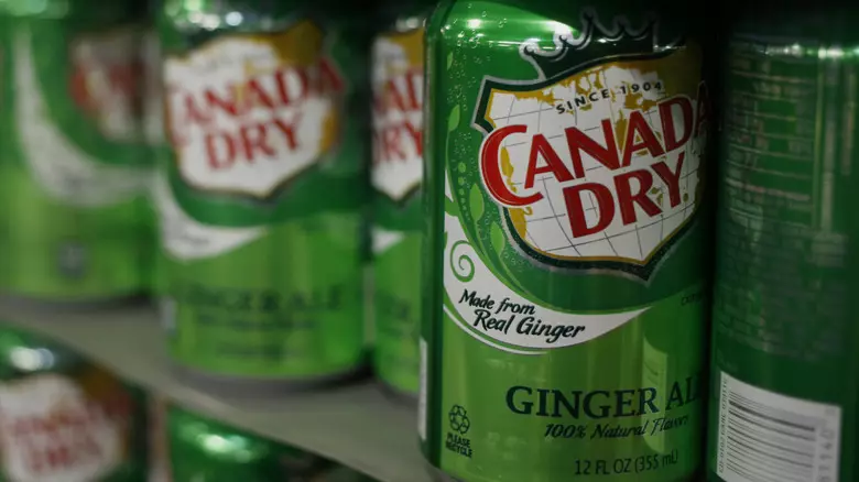 Kanada Droege ginger ale blikjes