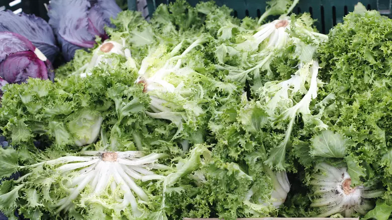 frisée salat