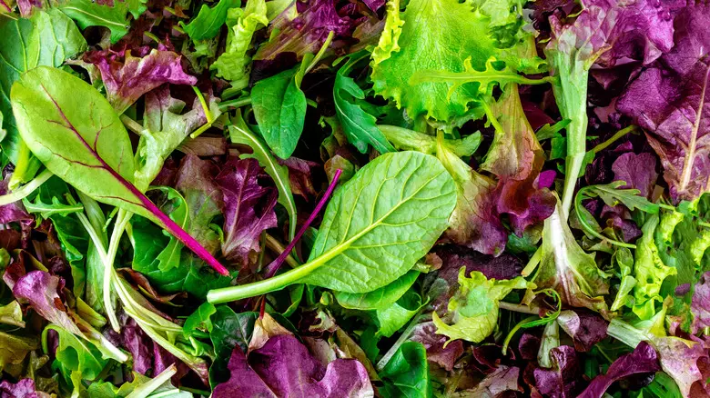 Mesclun greens