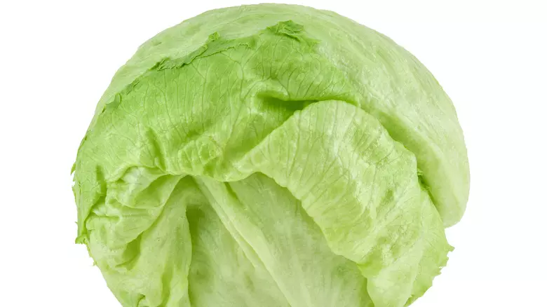 lechuga iceberg