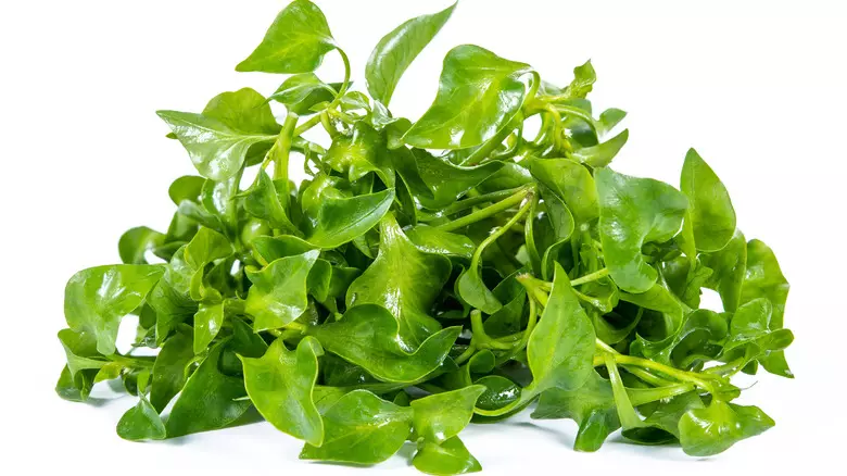 Watercress