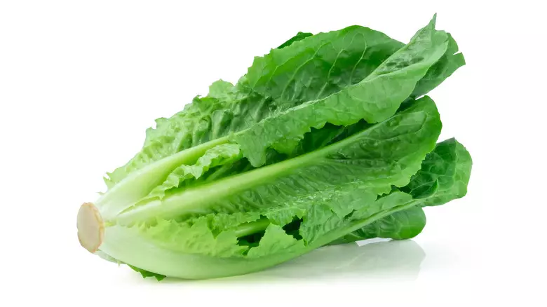 leitís romaine