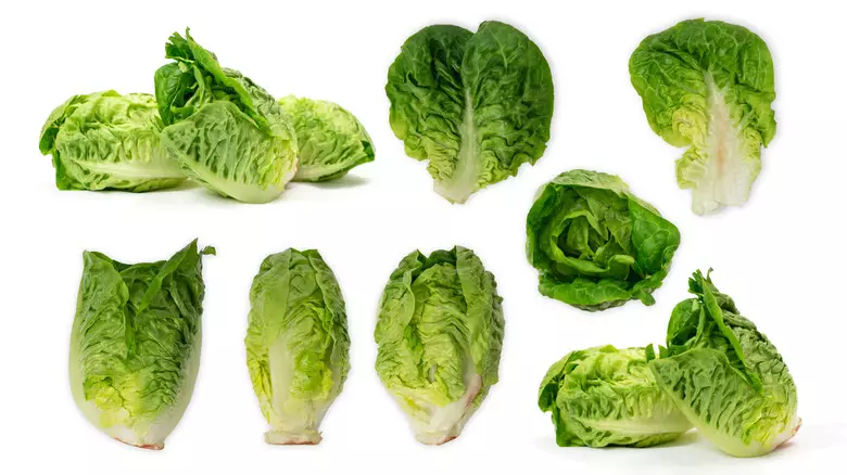 maliit na gem lettuce