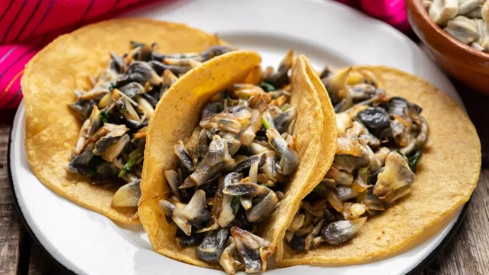 huitlacoche authentieke taco