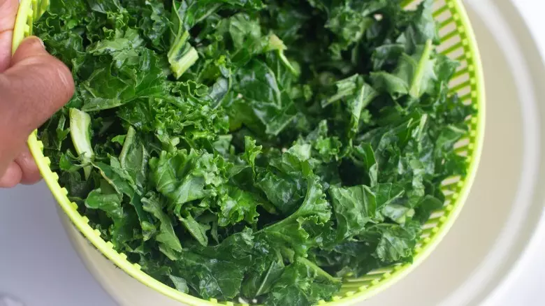 chou frisé haché dans une essoreuse à salade