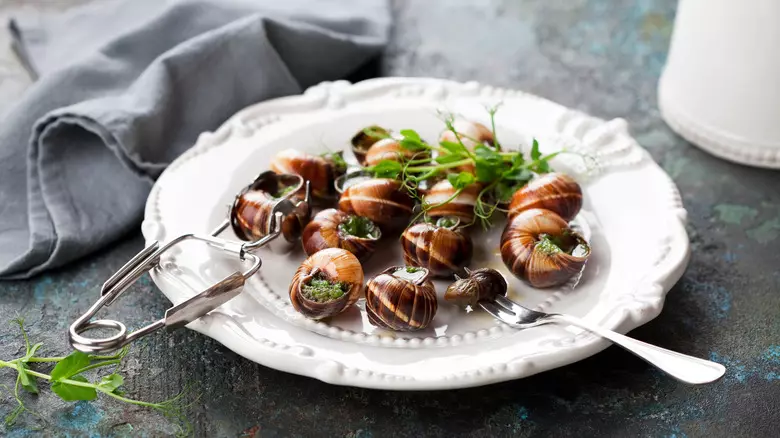 Caracoles en su caparazón en un plato blanco