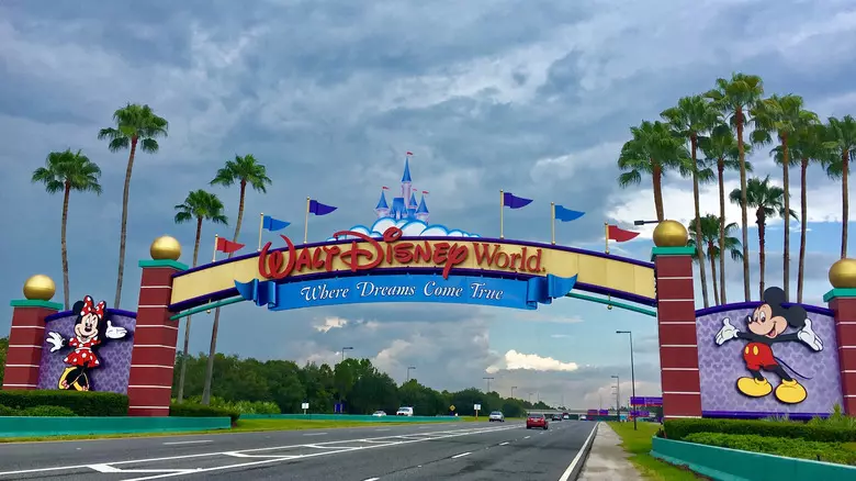 Walt Disney Worldi sissepääs