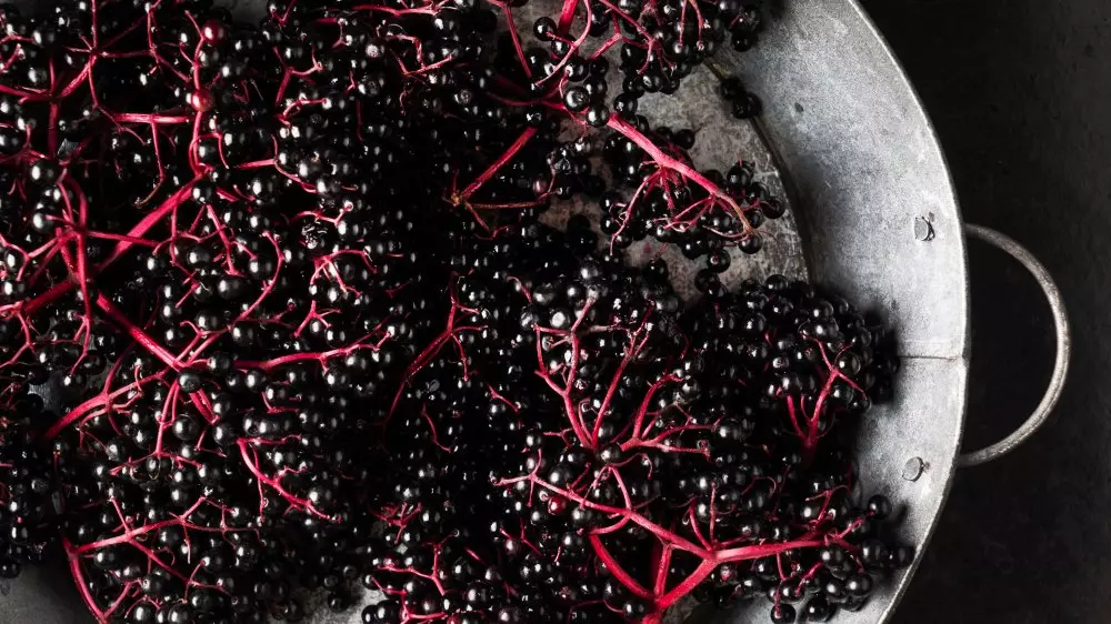 Elderberries