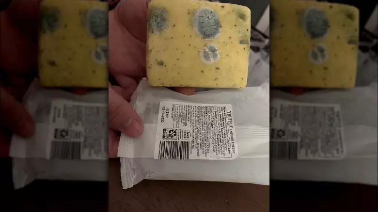 I-Aldi's moldy truffle cheddar cheese