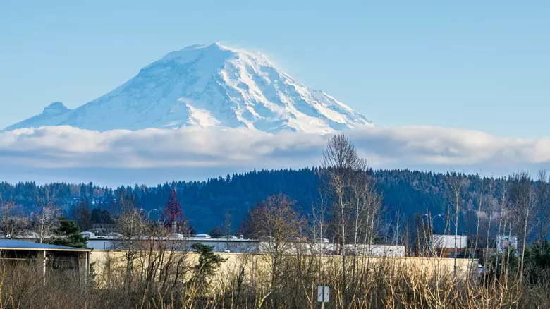 Mt Rainier met wolke