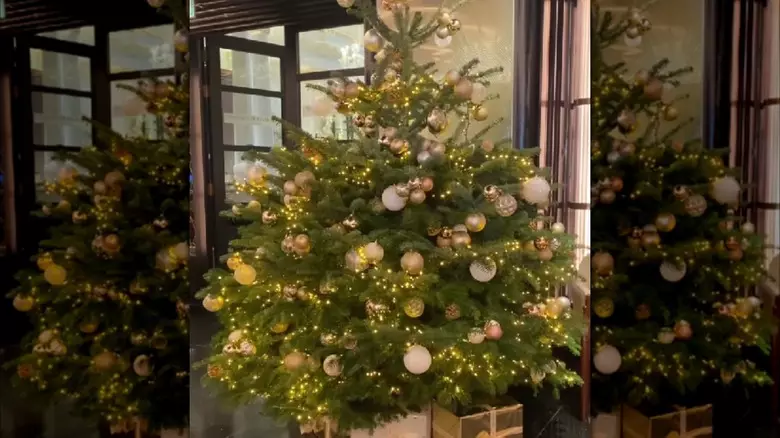 Savoy 烧烤店的圣诞树