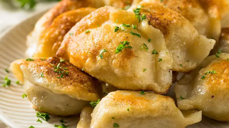 pierogis moqli bit-tursin