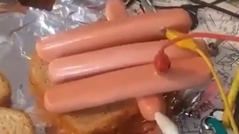 Hotdog muzyk