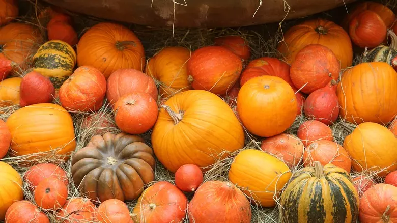 Un surtido de diferentes calabazas.