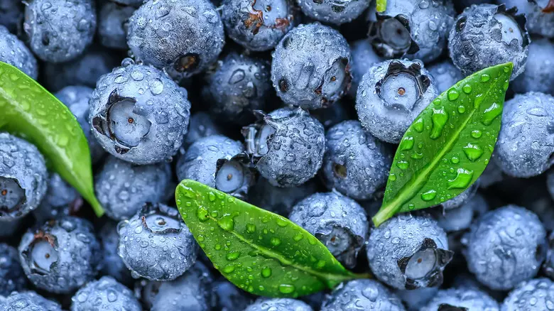 blueberries rinsed