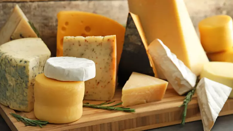 diferentes tipos de queixo