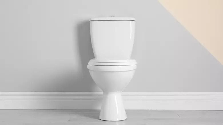 toiley ekan