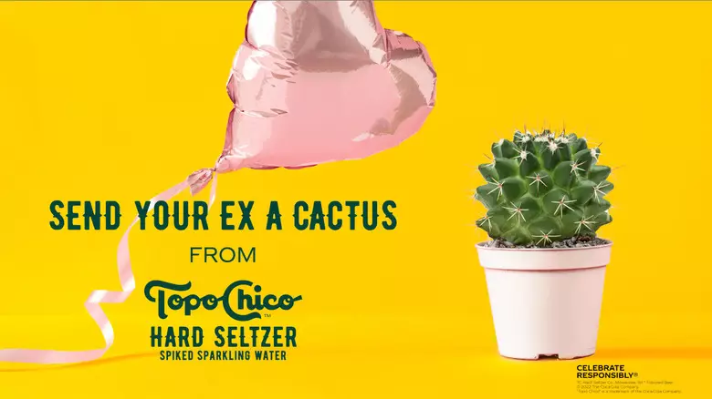 topo chico advertentie om ex cactus te sturen, gele achtergrond met roze hartballon en minicactus