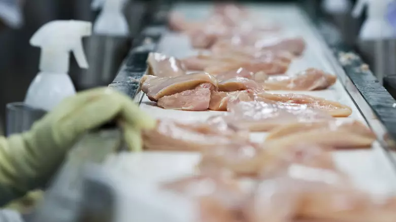 pollo su una linea di lavorazione in una fabbrica