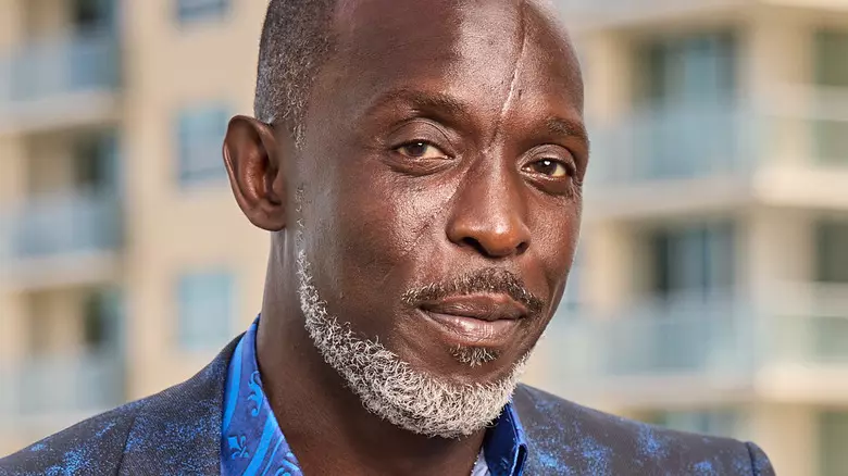 Michael K. Williams hafifçe gülümseyerek