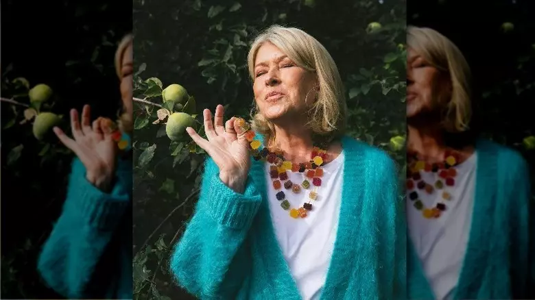 Martha Stewart CBD Wellness Gummies