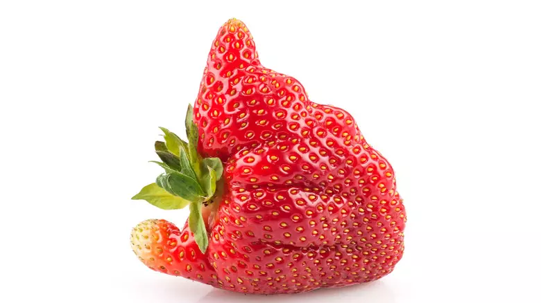 Et grimt jordbær