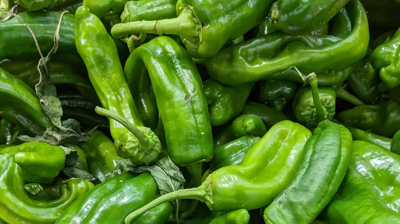 Green Cubanelle pepper