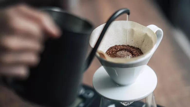 Café florescendo em ação