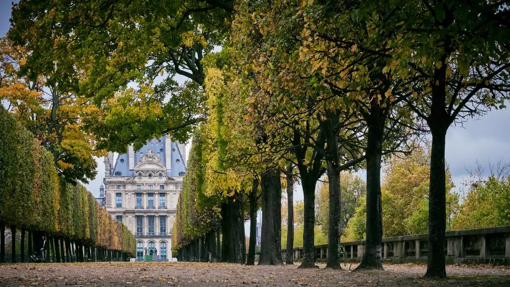 Marie-Antoine Carême masak ing tuileries