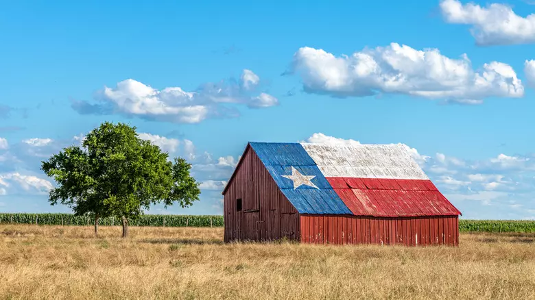 abà ya pẹlu texas flag