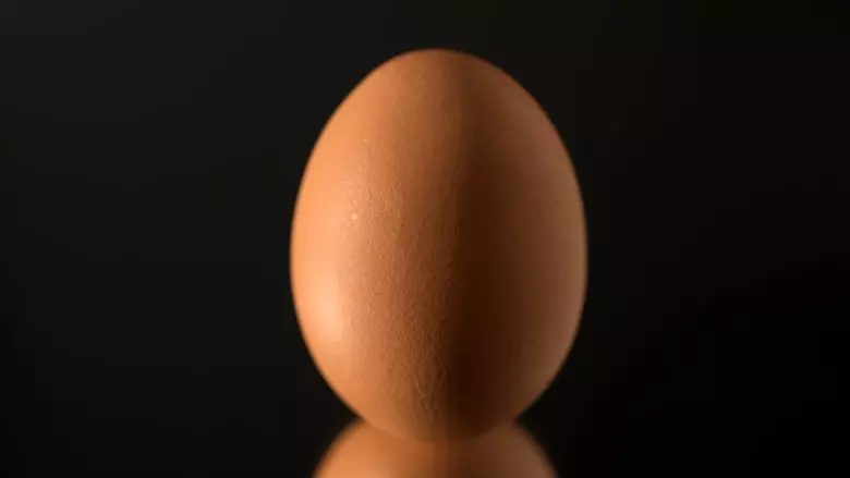 Egg