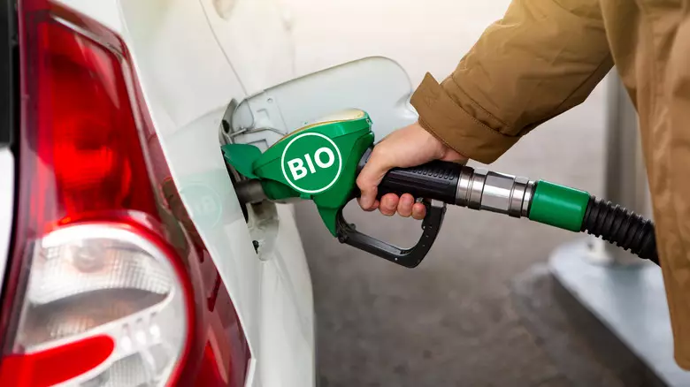 Persoon die auto vult met biodiesel