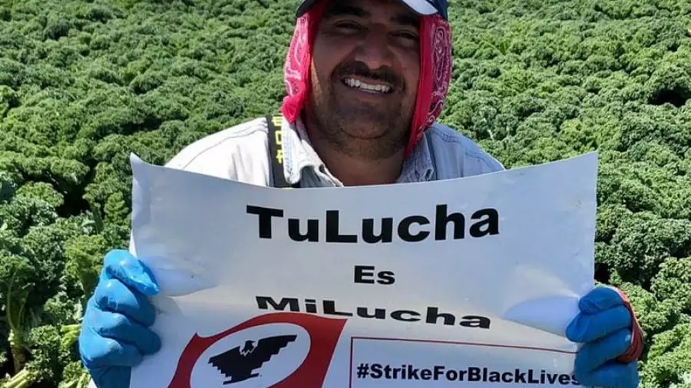 Ūkio darbuotojas, remiantis „Strike for Black Lives“.