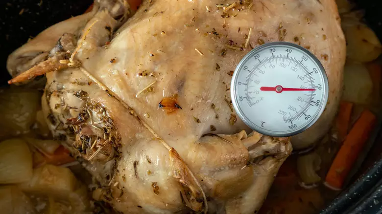 thermometer sa karne sa manok