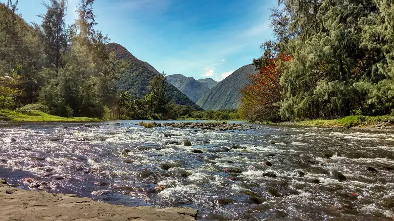 Waipio නිම්නය