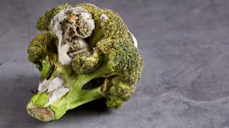 Mouldy nga broccoli