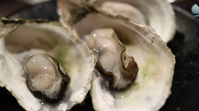 ნედლი oysters in shell